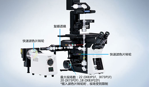 Olympus奥林巴斯倒置显微镜IX73-高思维